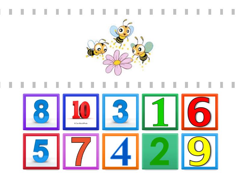 Cuenta la cantidad y marca el numero - Find the match