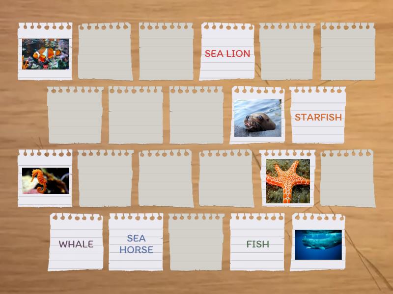 Memory game Sea animals - Parejas