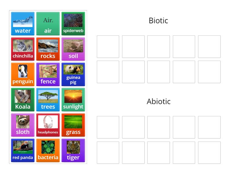 Biotic vs. Abiotic - Group sort
