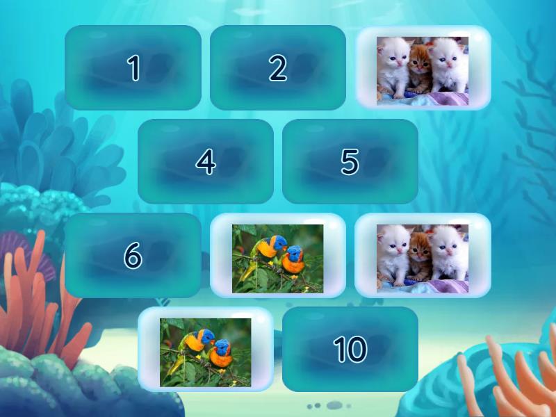 Matching..Animals - Matching pairs