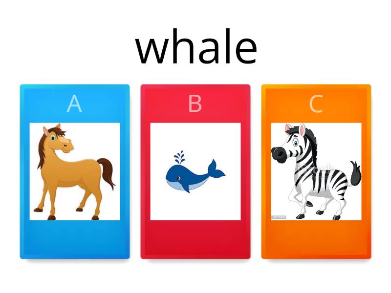 letter W - Quiz