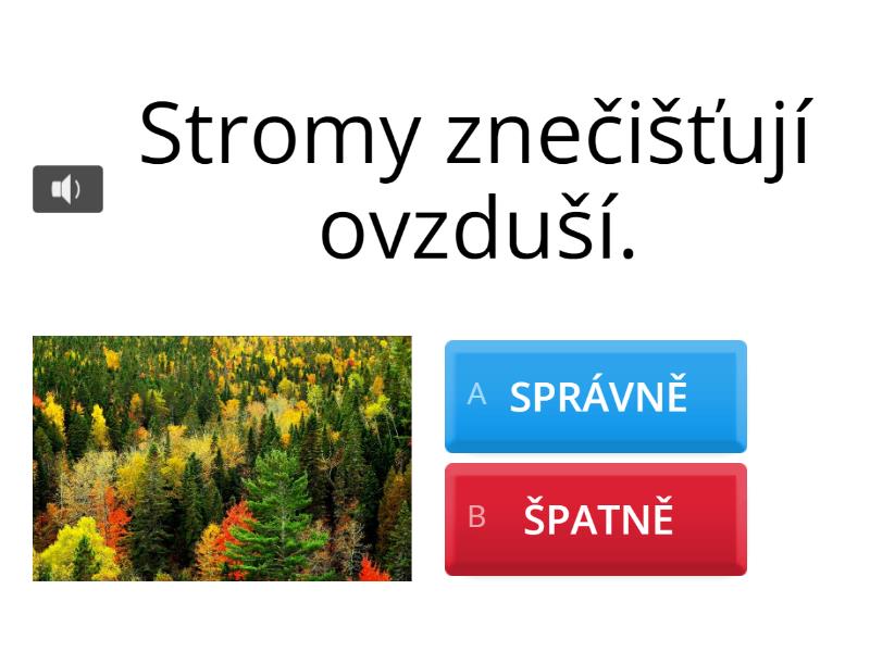 Význam lesa - Quiz