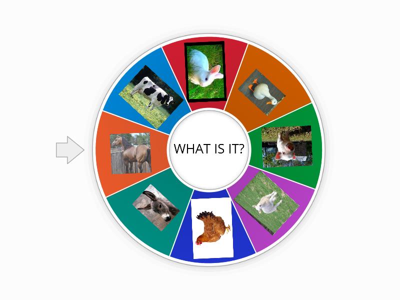 FARM ANIMALS - Spin the wheel