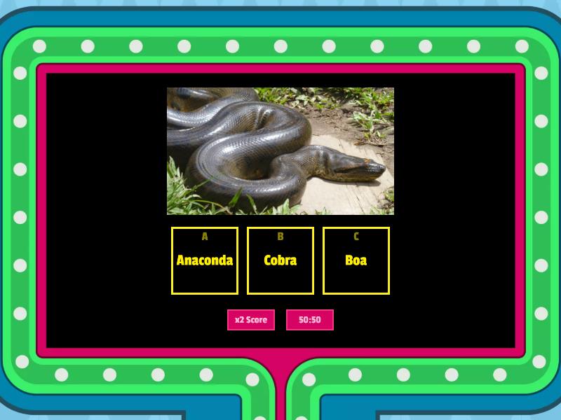 Choose name of the rainforest animals - Gameshow quiz