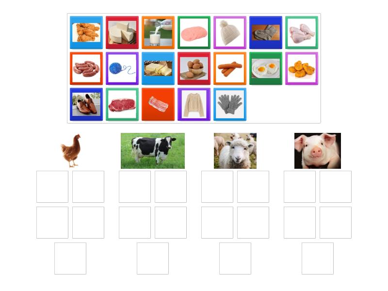 Animales De Granja Y Sus Derivados Group Sort