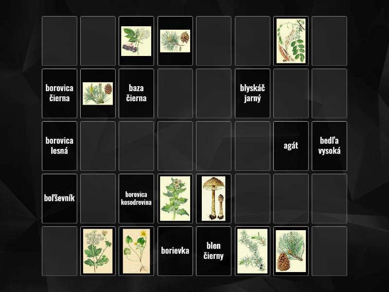 Biologia rastliny 1 - Matching pairs