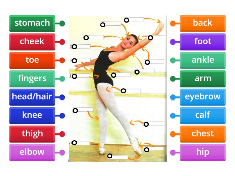 Get 200 (2) Unit 4 Health. Body Parts. Label the image - Labelled diagram