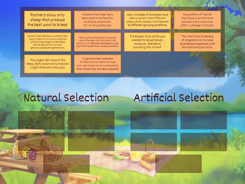 Natural vs. Artificial Selection Sorting - Group sort