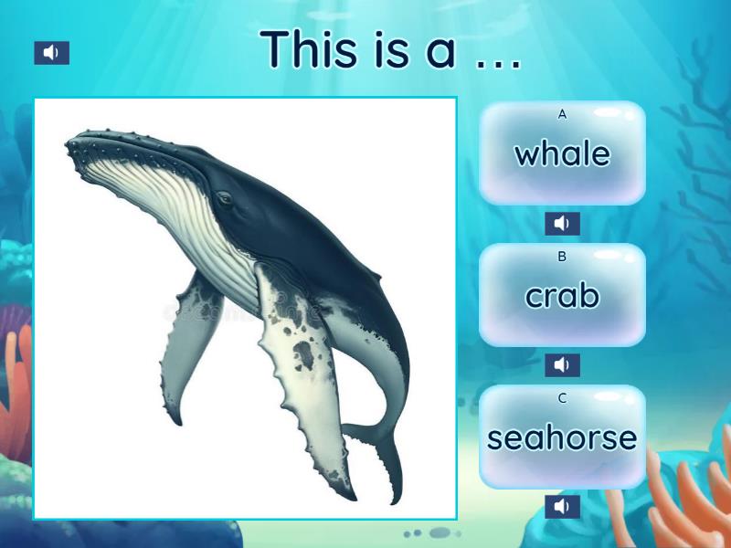 Preschool Sea animals - Quiz
