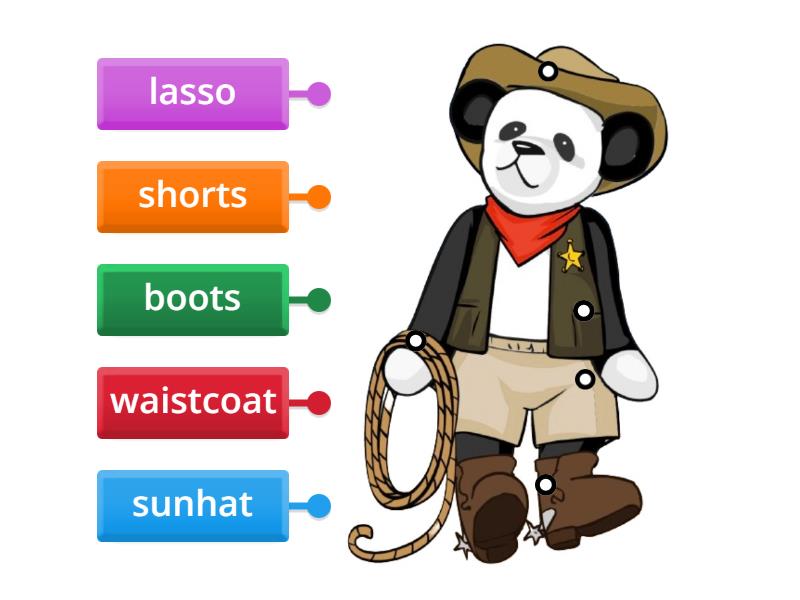 Cowboy bear - Labelled diagram
