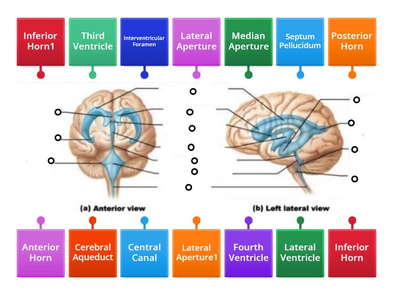 Lab2b - Labelled diagram
