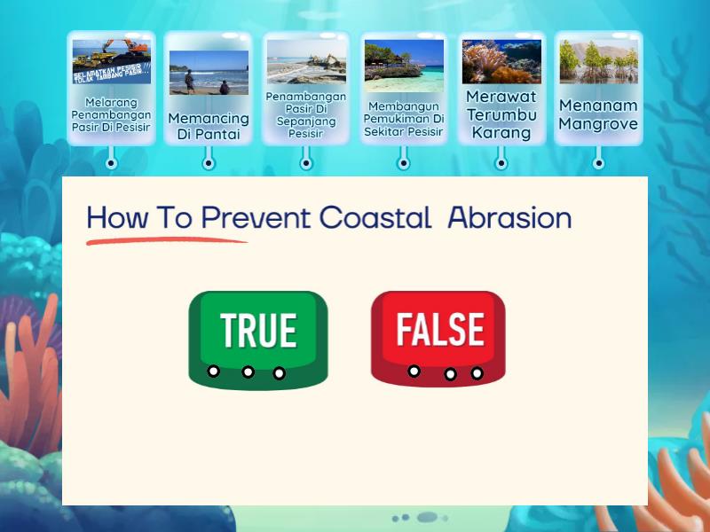 How to Prevent Coastal Abrasion? - Labelled diagram