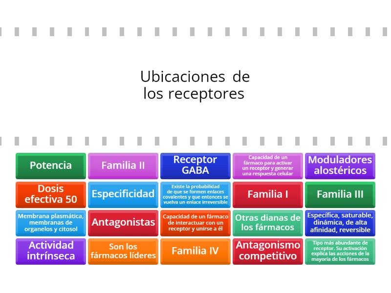 Receptores farmacológicos - Find the match