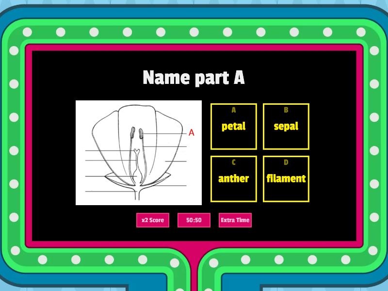 Parts of a flower - Gameshow quiz