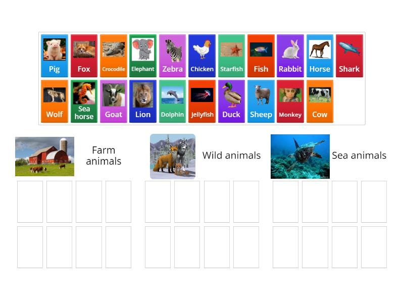animals - Group sort