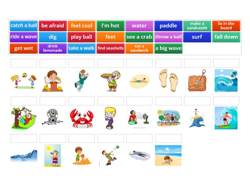 Pete the cat at the beach - Match up