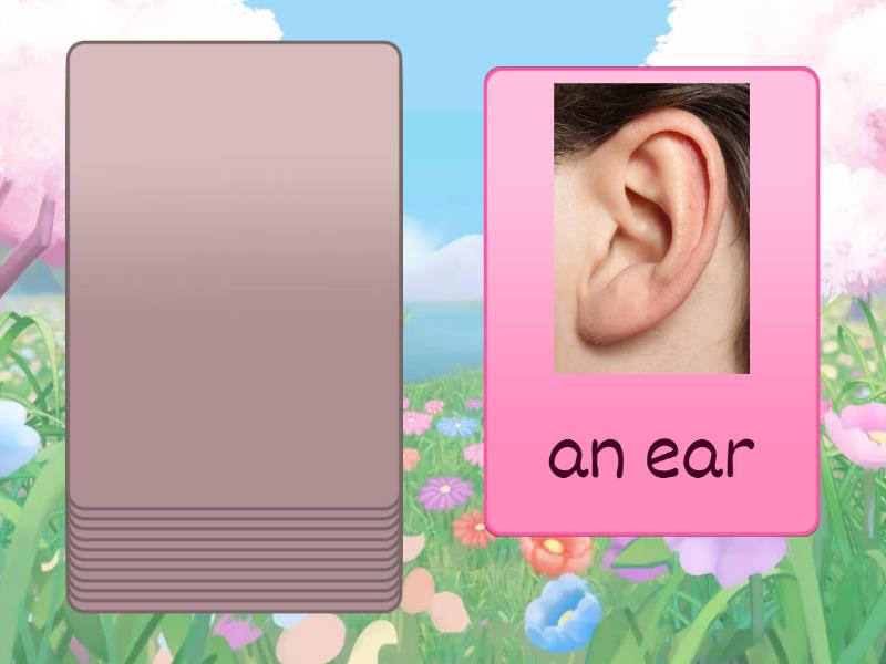 My body - Speaking cards