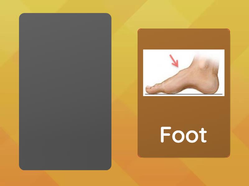 Start Up 2 Parts of the Body - Speaking cards