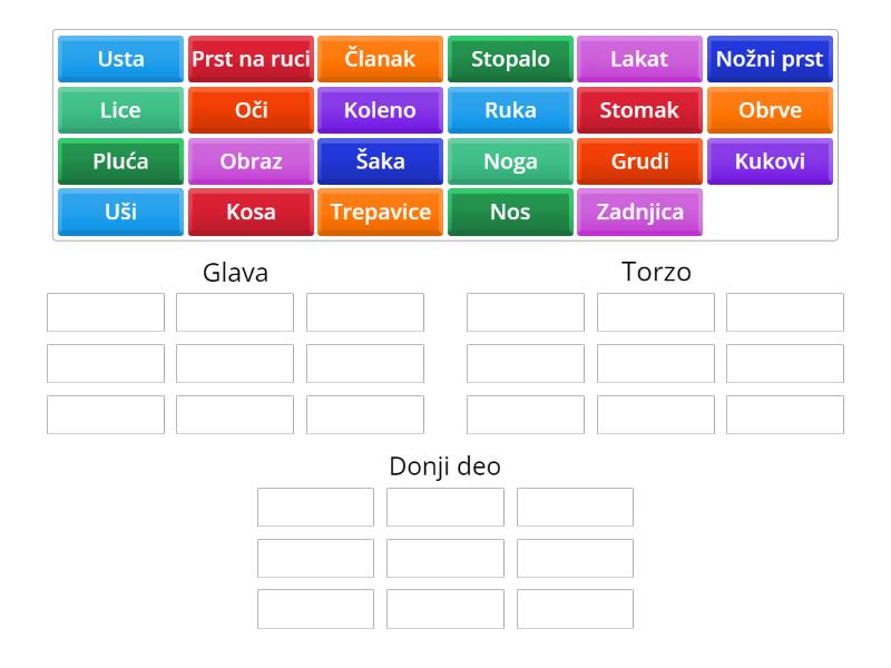 Delovi tela - Врста групе