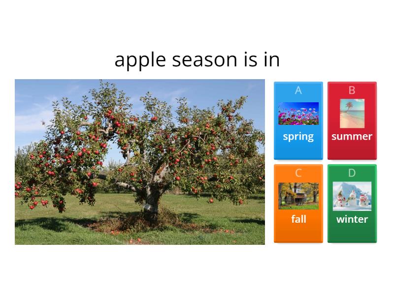 All About apple - Quiz