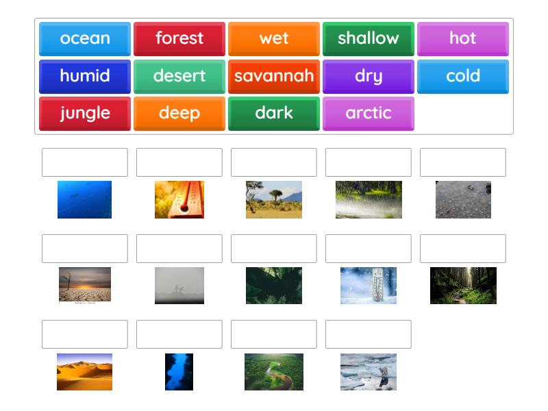 Pi3 / PP2 - Go Wild - Habitats & Vocabulary to describe habitats - Match up