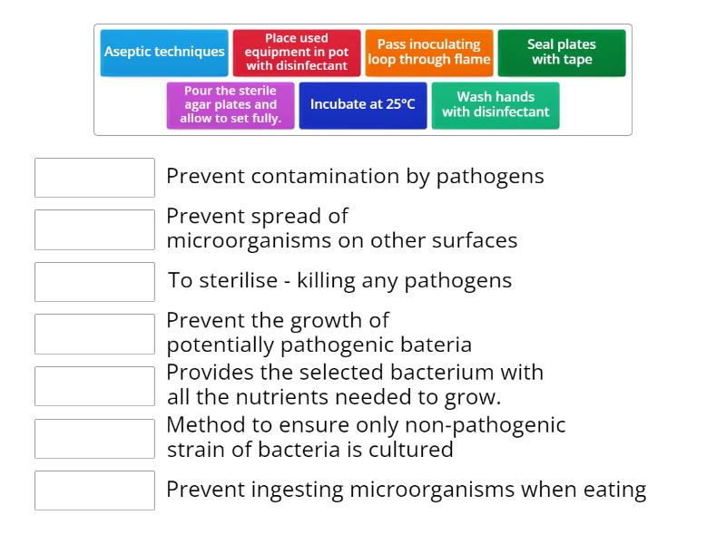 9-1 Microbiology required practical - Match up