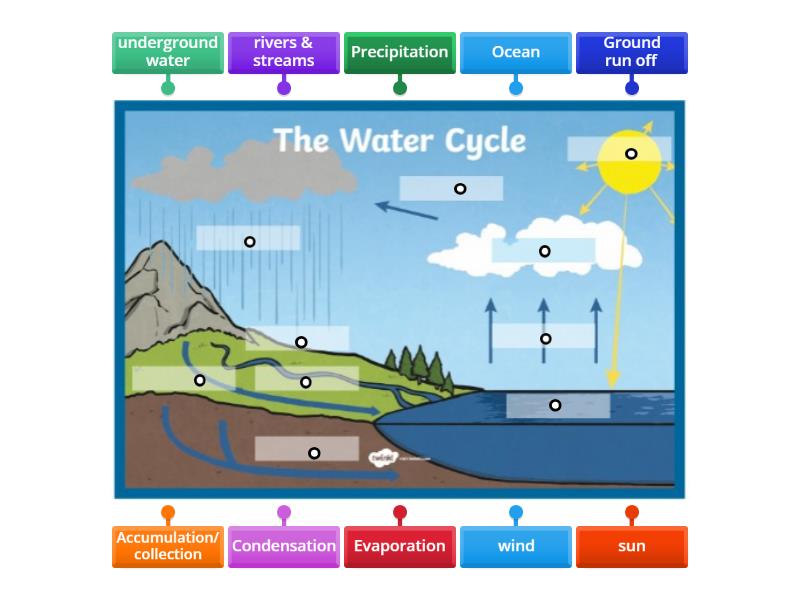 Water cycle - Labelled diagram