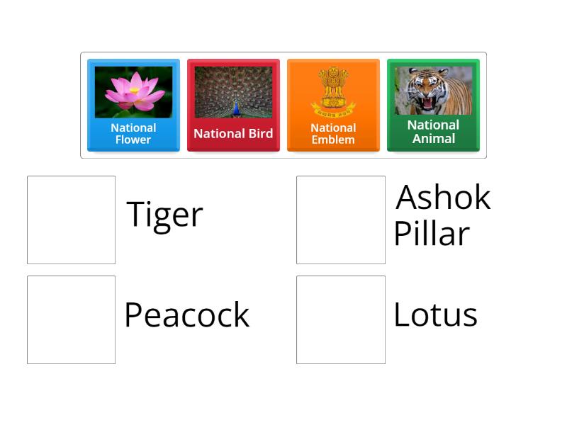 GK Active - Match up