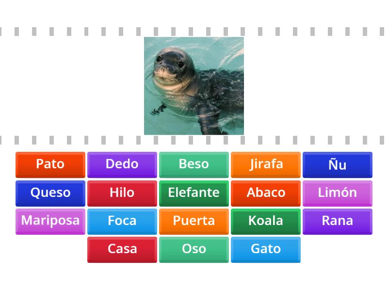 Relaciona la plabra con su imagen - Find the match