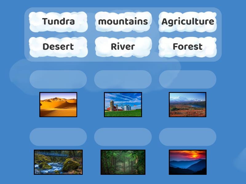 Ecosystems - Match up