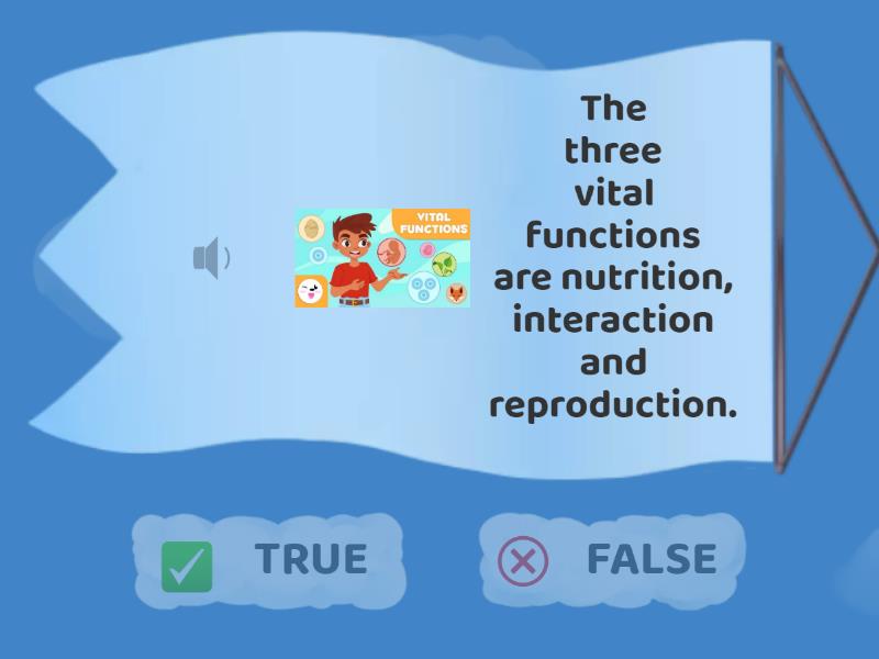 Three vital functions review - True or false