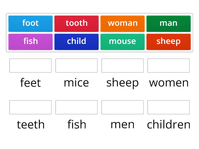 Irregular Plurals - Match up