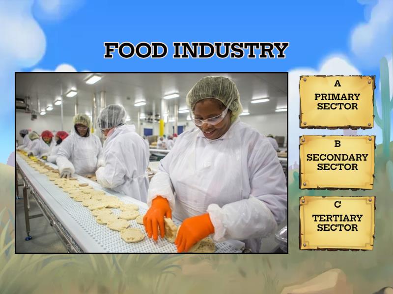 PRIMARY, SECONDARY AN TERTIARY SECTORS OF ECONOMY - Test