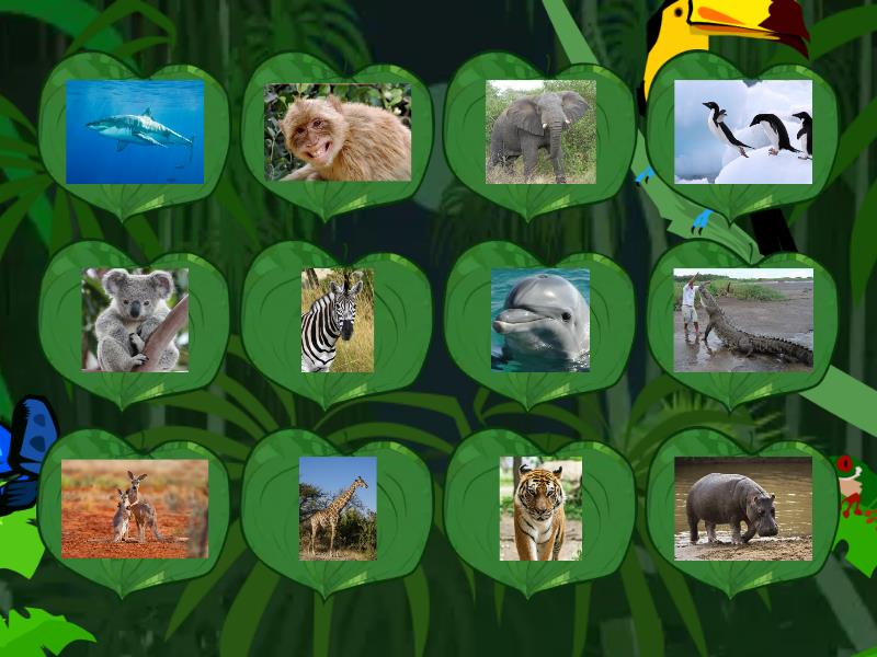 Wild Animals - Flip tiles