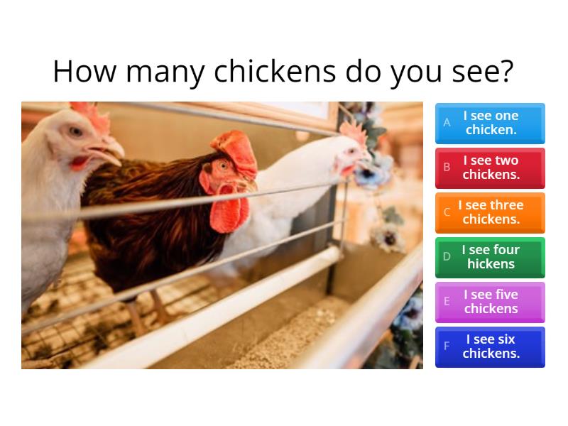 How Many Do You See? - Cuestionario