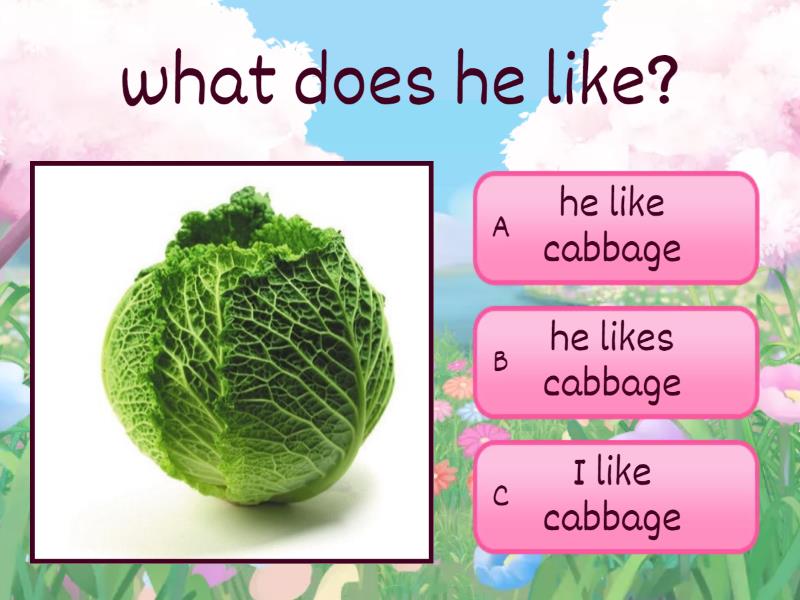 What does she like? Sandy - Quiz