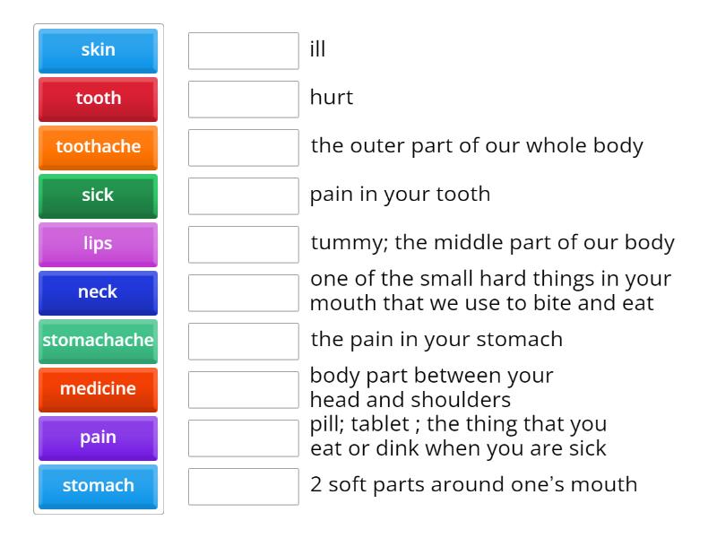 Unit 1 Body & Health B - Match up