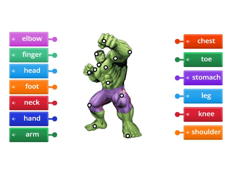 Body parts (hulk) - Labelled diagram
