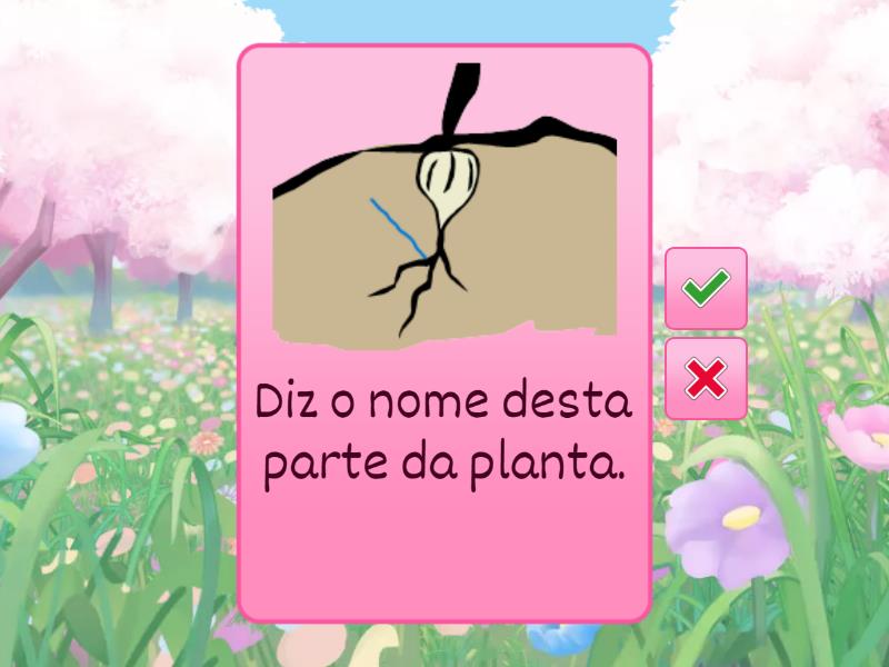 Partes da planta - Conhecimento do Mundo - Tarjetas flash