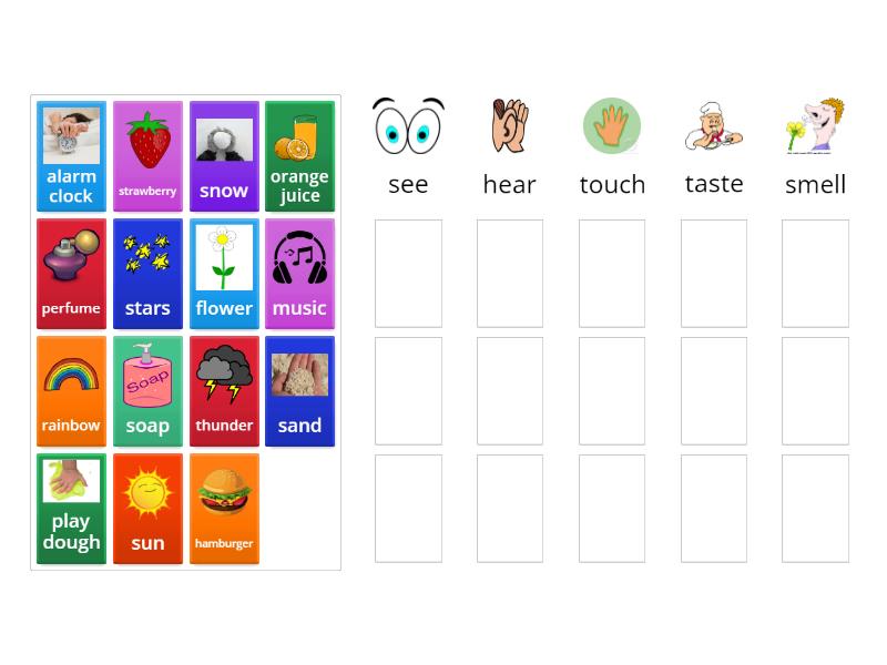 Five senses Sorting Activity - Group sort