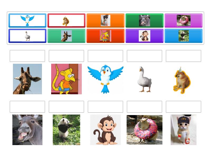 unir parejas - Une las parejas