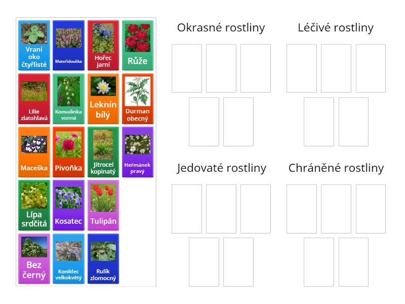 Rostliny - okrasné, léčivé, jedovaté, chráněné - Group sort