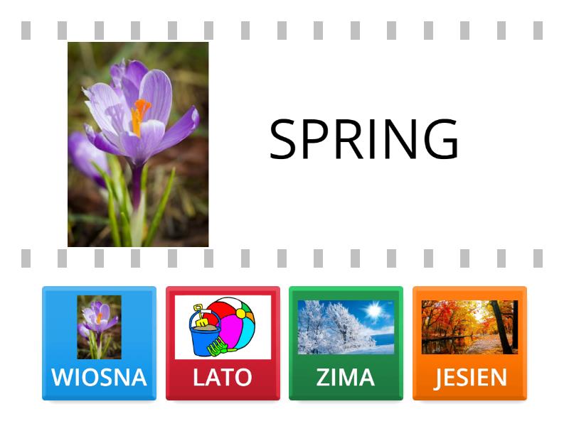 PORY ROKU (POLSKI ENGLISH) - Find the match