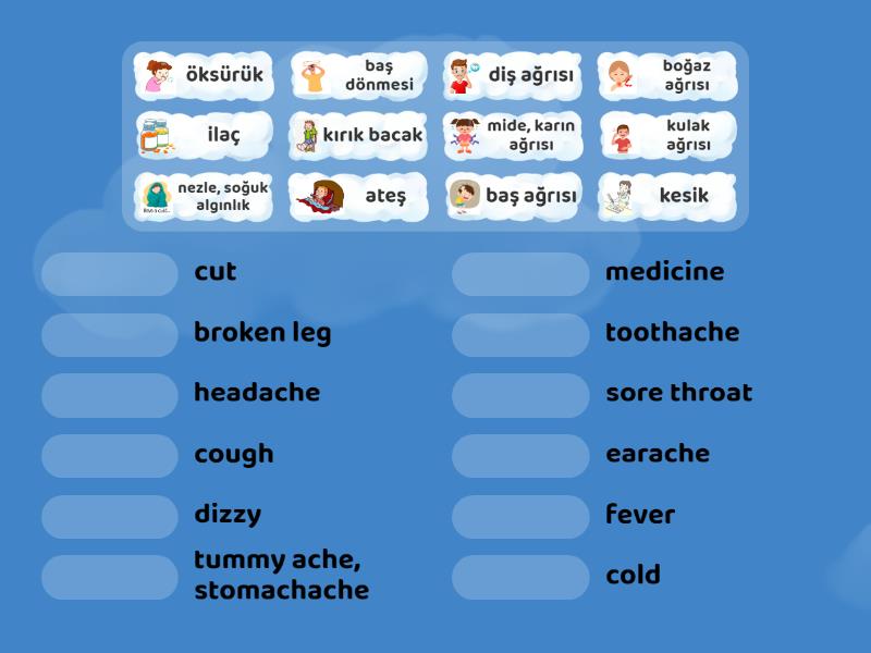 HEALTH AND DISEASE - Match up