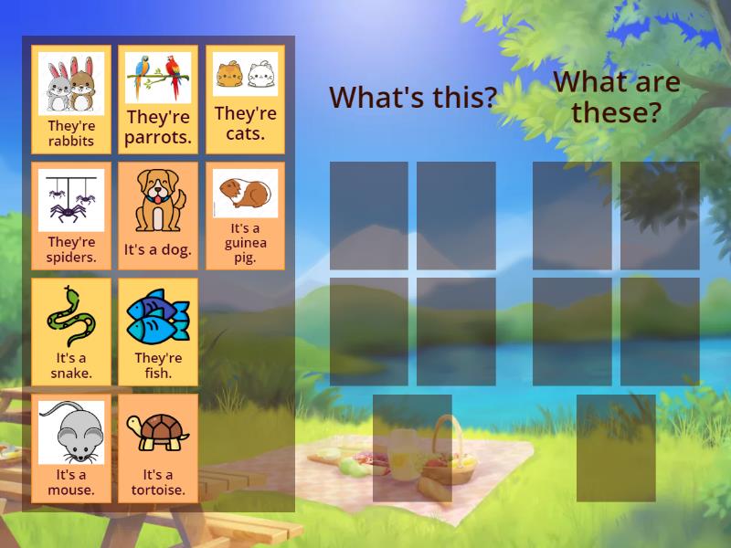 Animals - Plural vs Singular form - Group sort