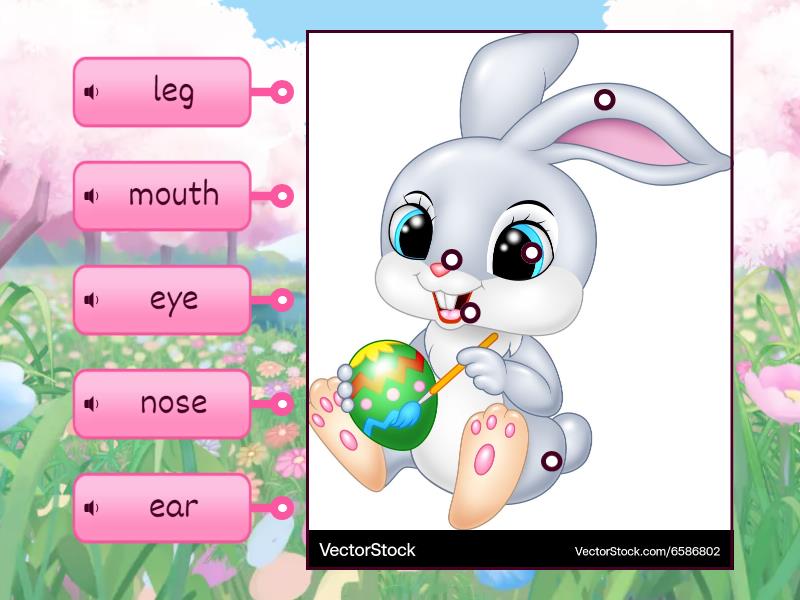 Easter bunny - Labelled diagram