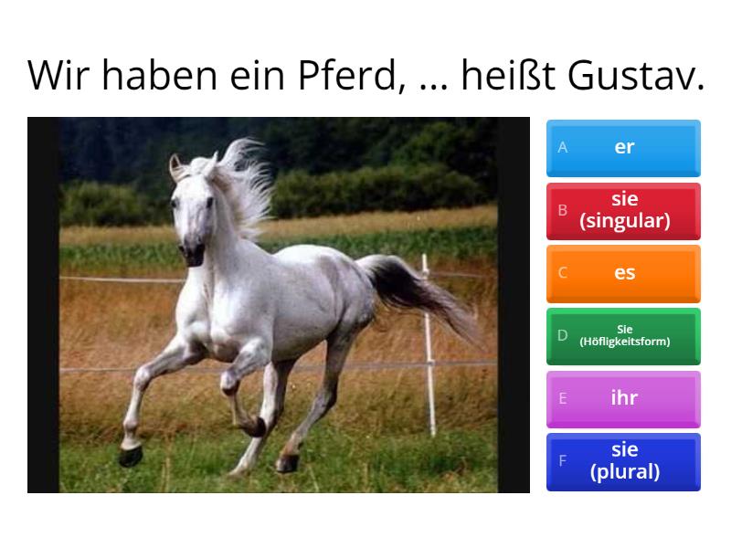 A2E6 Personalpronomen im Nom., Akk., und Dat. - Quiz