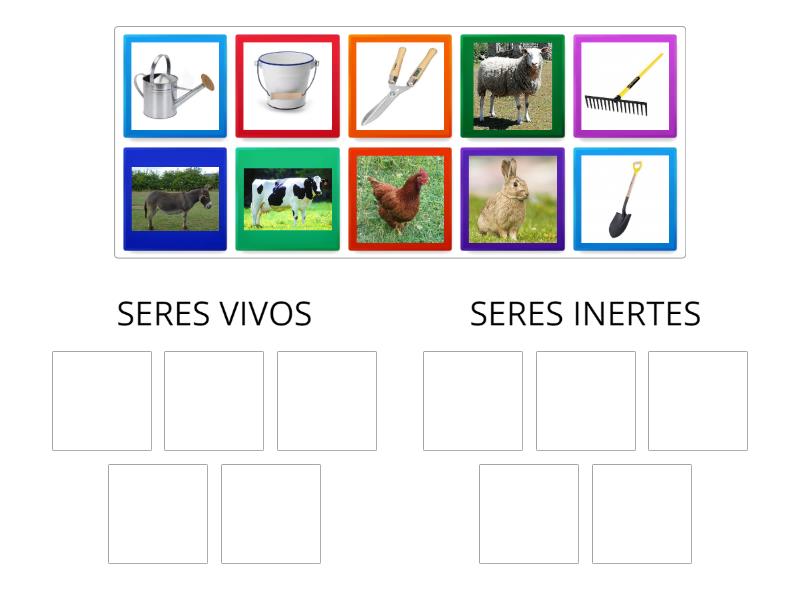¿Seres vivos o inertes? - Group sort