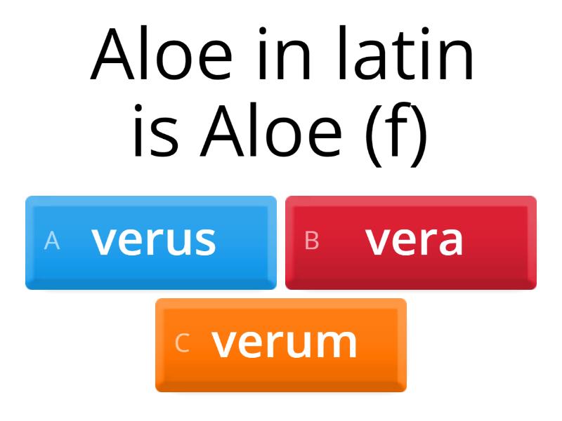 Latin adjectives - Quiz