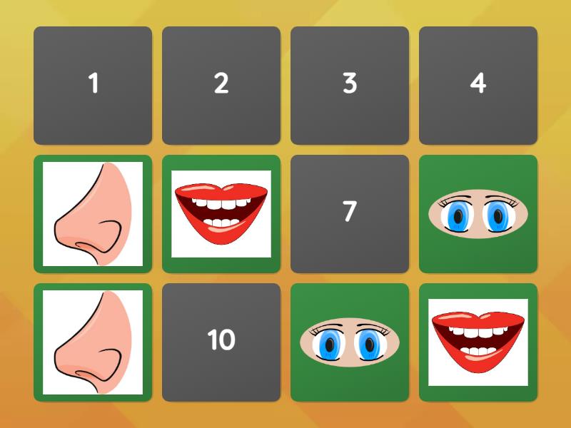 1 - PARTS OF THE FACE - Matching pairs